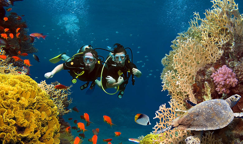 Scuba and Caribbean Adventures – Toronto – The Outdoor Adventure Show